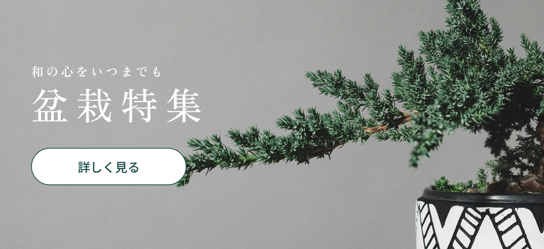 造花専門 岩や - 公式直販オンラインショップ【平日は即日発送】
